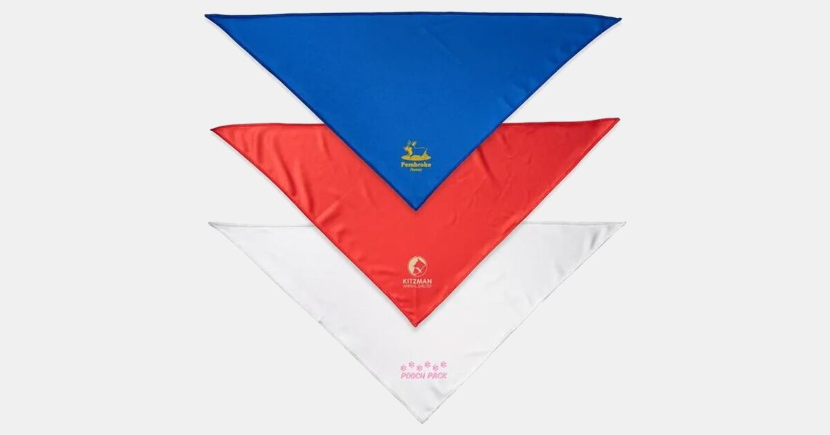 Custom Printed Pup-Pet Bandana with your logo | ImprintLogo.com