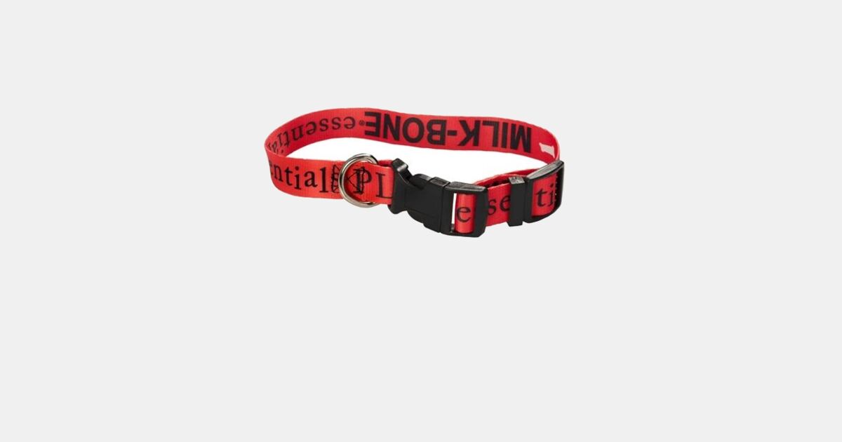 USA Made Dye-Sublimated Pet Collar with your logo | ImprintLogo.com