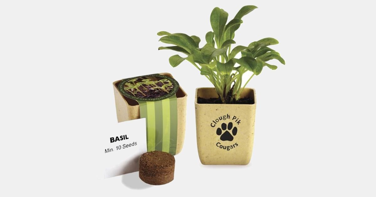 Advertising Flower Pot Set With Basil Seeds with your logo ...