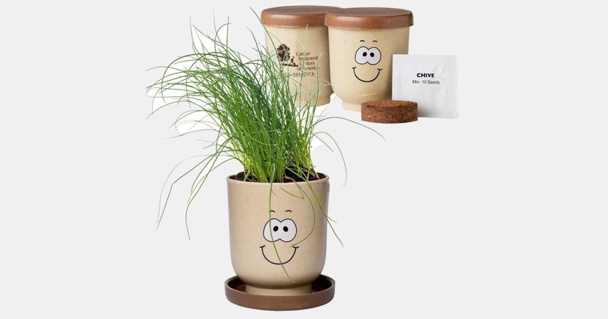 Advertising Goofy Group (TM) Grow Pot Eco-Planter With Chive See with ...