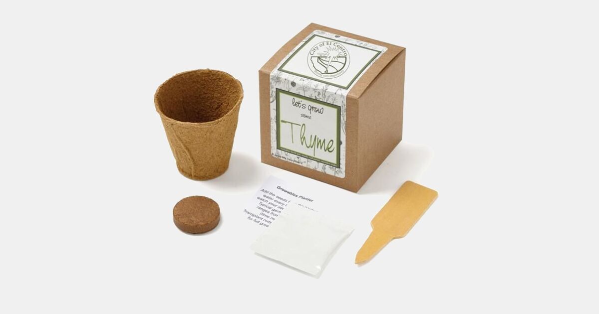 Thyme Growable Seed Planter in Kraft Gift Box with your logo ...