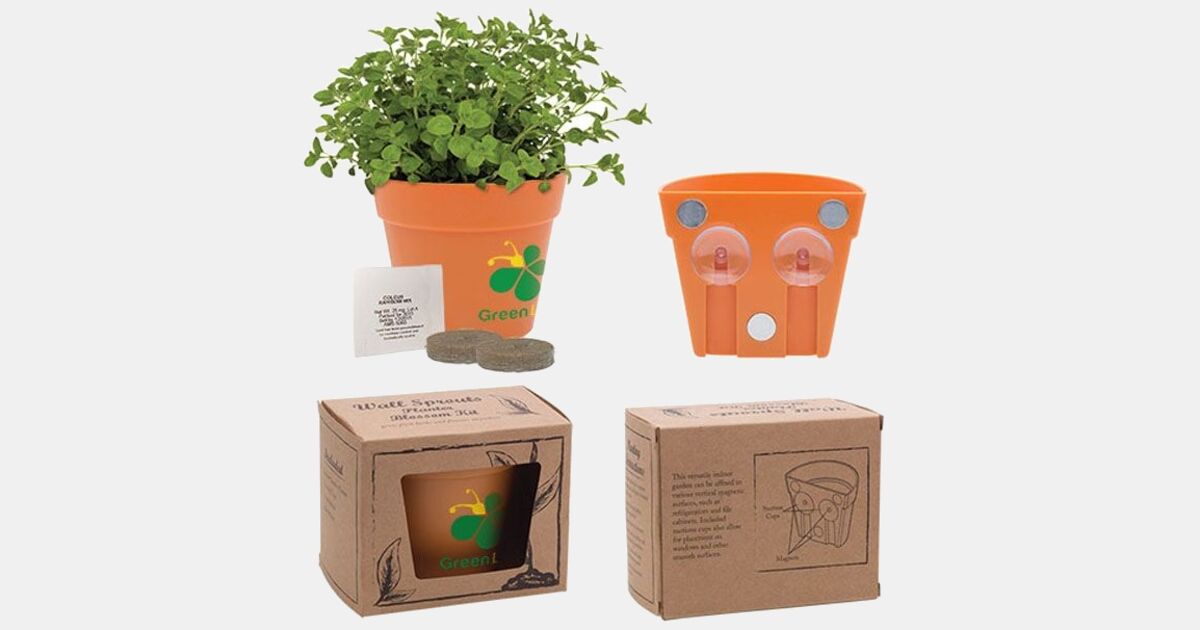 Wall Sprouts Planter Blossom Kit with your logo | ImprintLogo.com