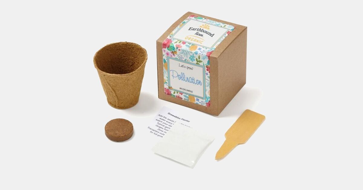 Wildflower Seed Growable Planter Kit with your logo | ImprintLogo.com