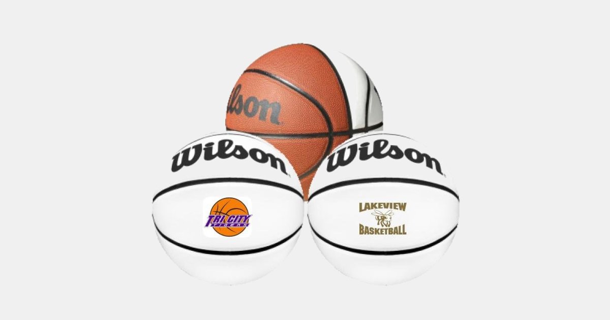 Wilson Autograph Basketball - Full Size with your logo | ImprintLogo.com